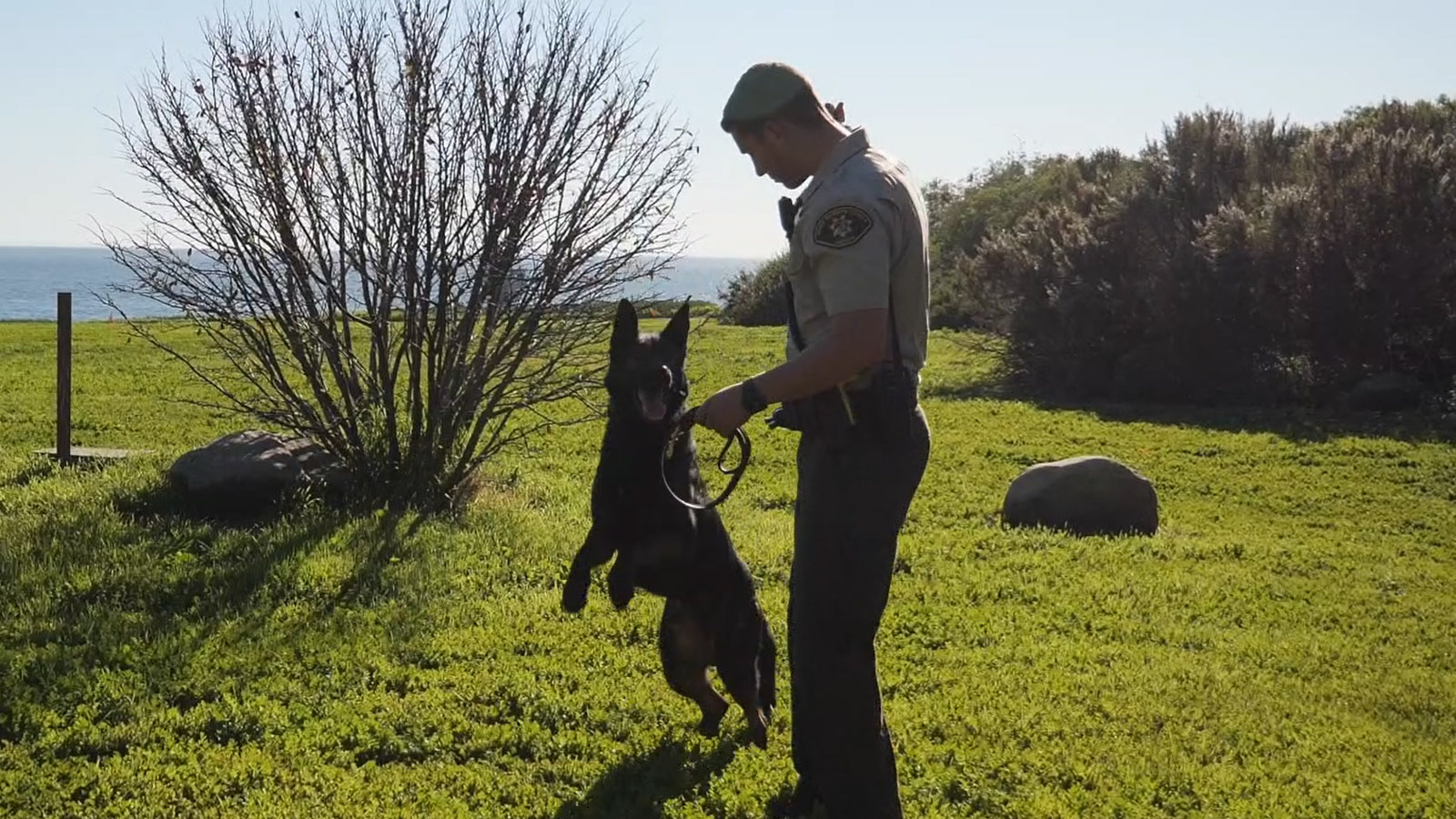 Tyler Davis & K9 Thor